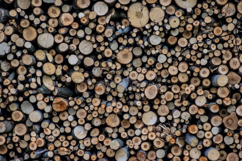 Stack of Wood. Logs Texture Stock Image - Image of burn, stack: 146233741