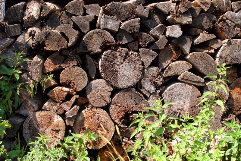 Stack of wood stock photo. Image of round, industry, natural - 69200440