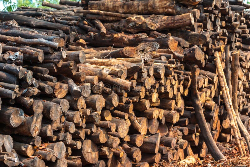 Stack of wood stock image. Image of birch, environment - 67186227