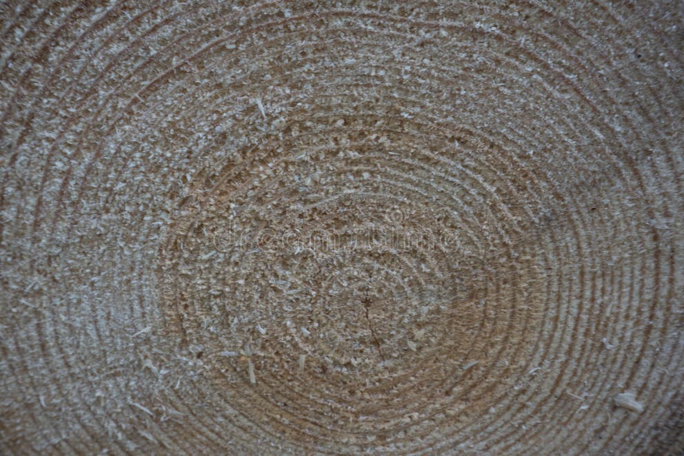 Stack of Wood Stacked Stacking Staple Sticks, Stock Photo - Image of ...