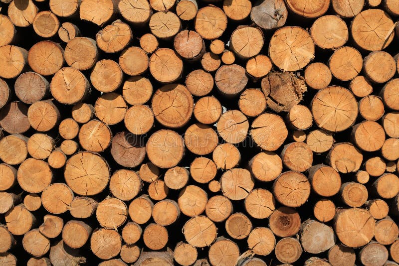 Stack of Wood in a Sunny Day Background Texture Wallpaper Stock Photo ...