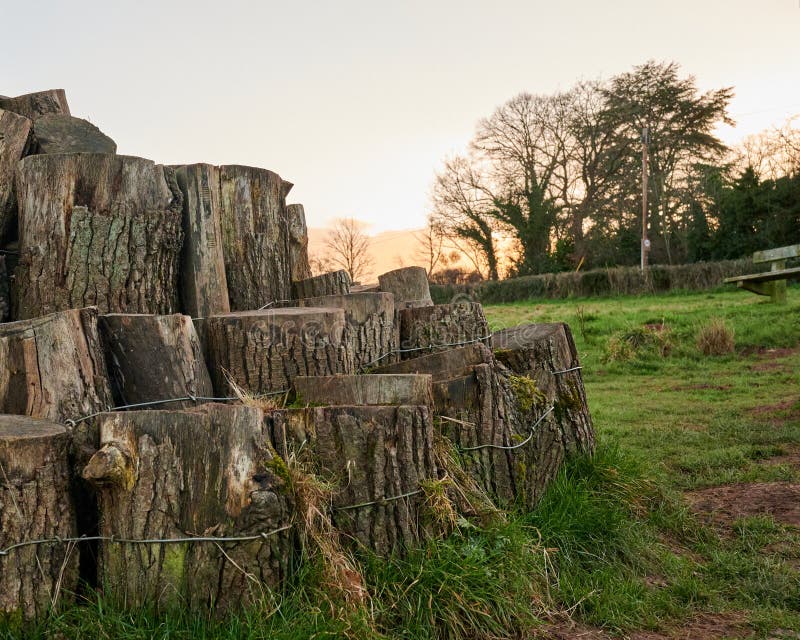 Stack of Wooden Blocks Wrapped in Wire with Winter Trees in Background ...