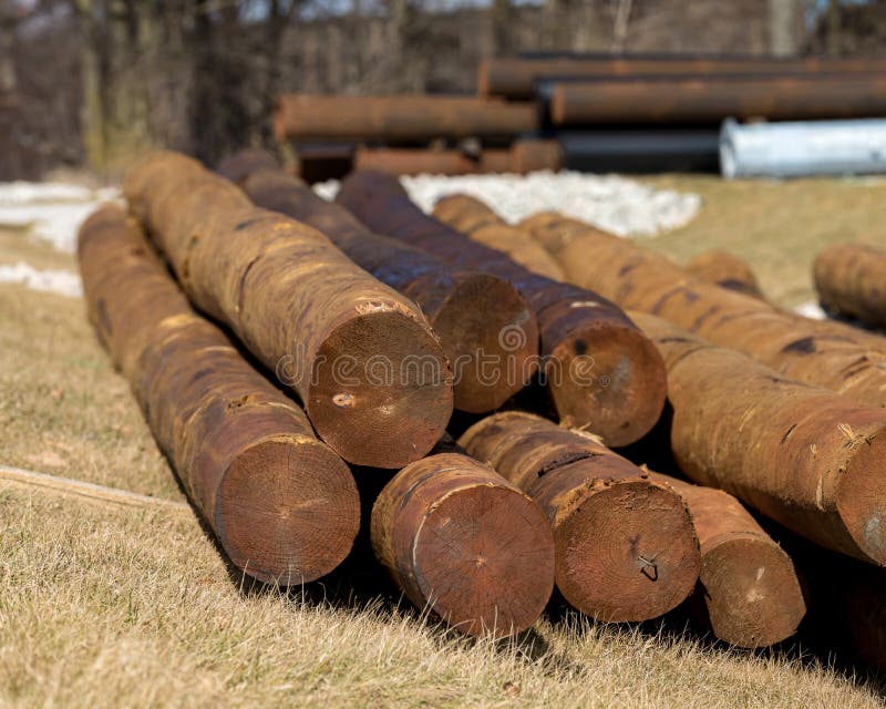 Stack of Wooden Electrical Utility Poles Ready for Installation Stock ...