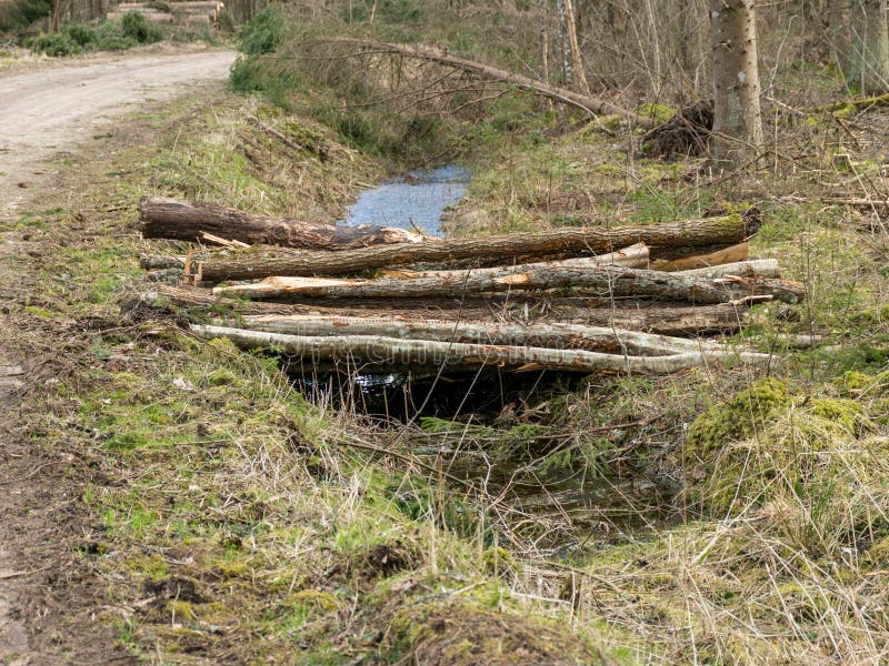 A Stack of Wooden Logs Piled on the Side of the Road Stock Image ...