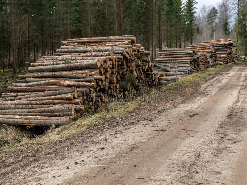 A Stack of Wooden Logs Piled on the Side of the Road Stock Image ...