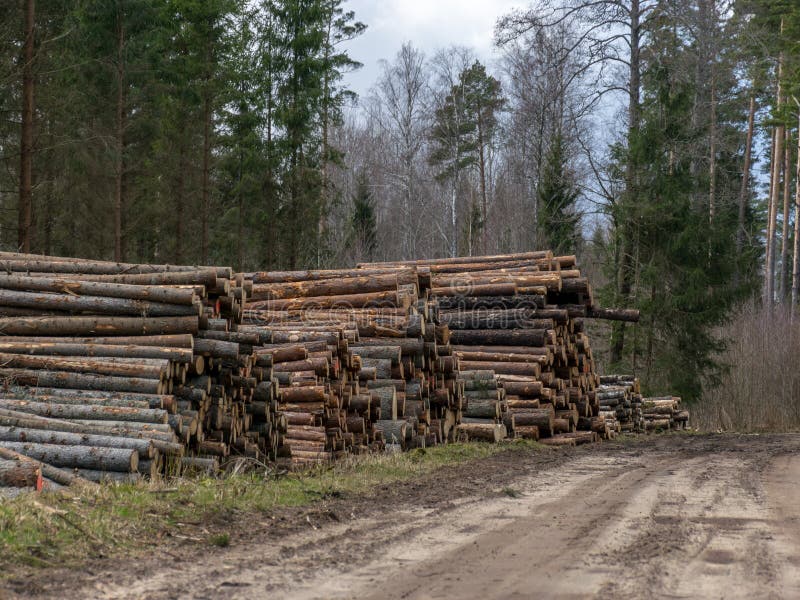 A Stack of Wooden Logs Piled on the Side of the Road Stock Image ...