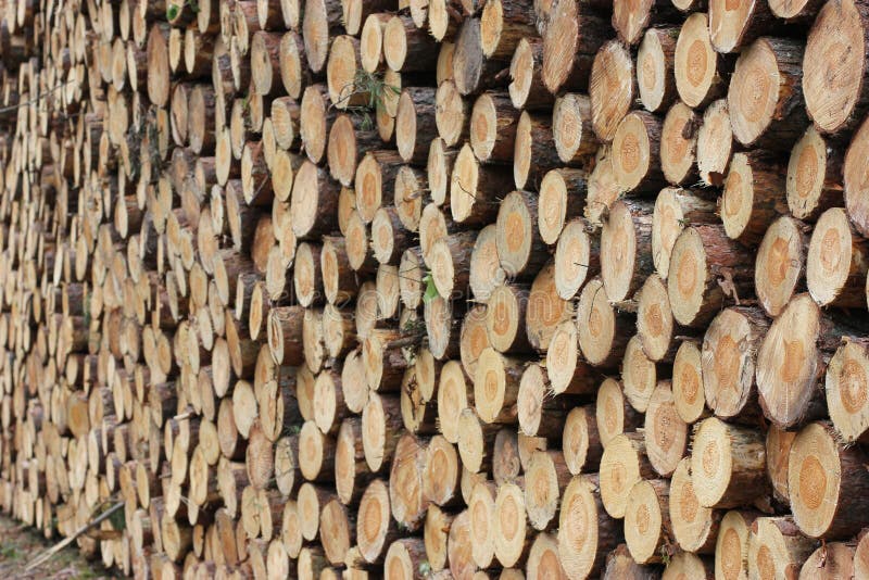 Timber stock photo. Image of wood, wooden, pattern, pile - 109704358