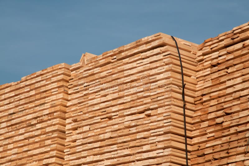 Sawn timber stock photo. Image of carpentry, lines, forest - 3750954