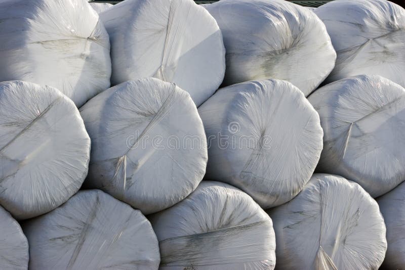 Stack of wrapped hay bales stock image. Image of wrap, field - 754971