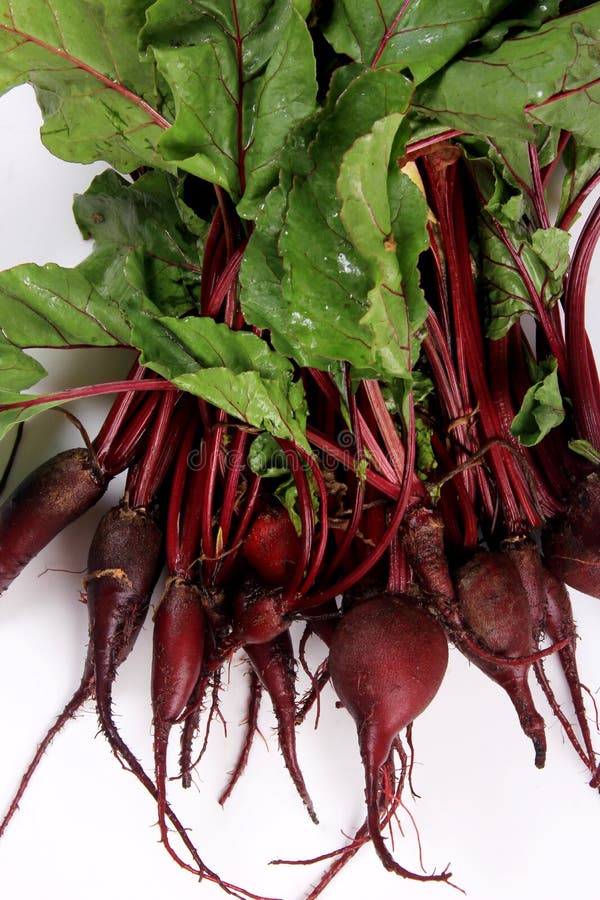 Stack of Young Beets with Leaves Isolated on a White Background Stock ...
