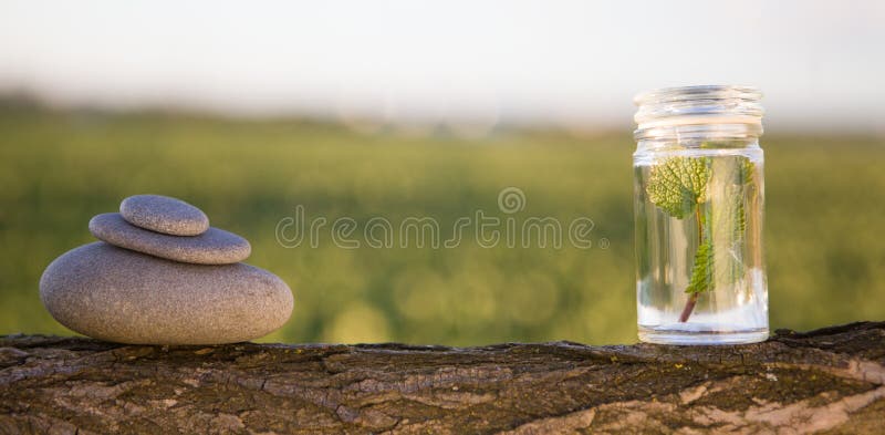 Pyramid of the Small Pebbles and Fresh Herb. Copy Speace Stock Image ...