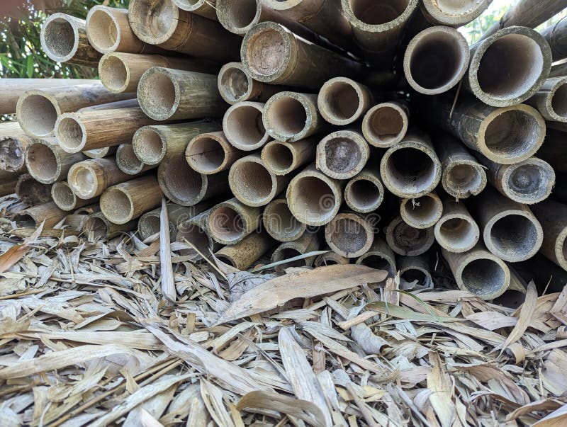 1,712 Bamboo Hole Stock Photos - Free & Royalty-Free Stock Photos from ...