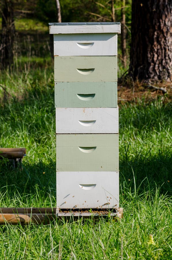 Stacked Beekeeping Boxes stock image. Image of handles - 52721199
