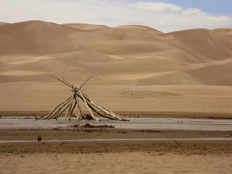Stacked Branches in the Middle of a Sandy Area. Stock Photo - Image of ...