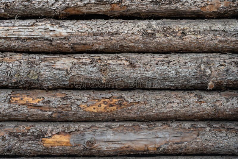 Stacked Brown Tree Trunks As a Wooden Background Stock Image - Image of ...