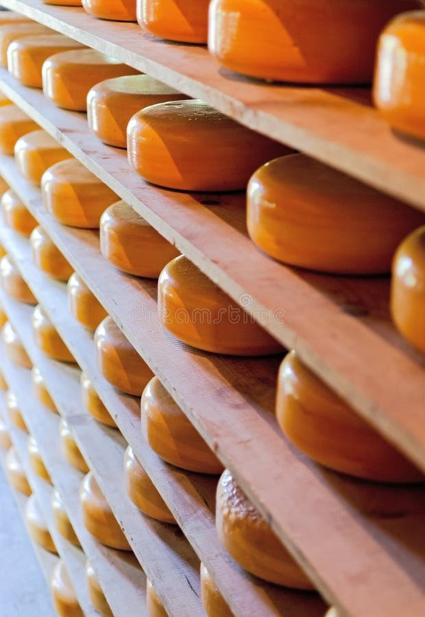 Cheese in Cellar stock image. Image of storeroom, maturation - 6270277