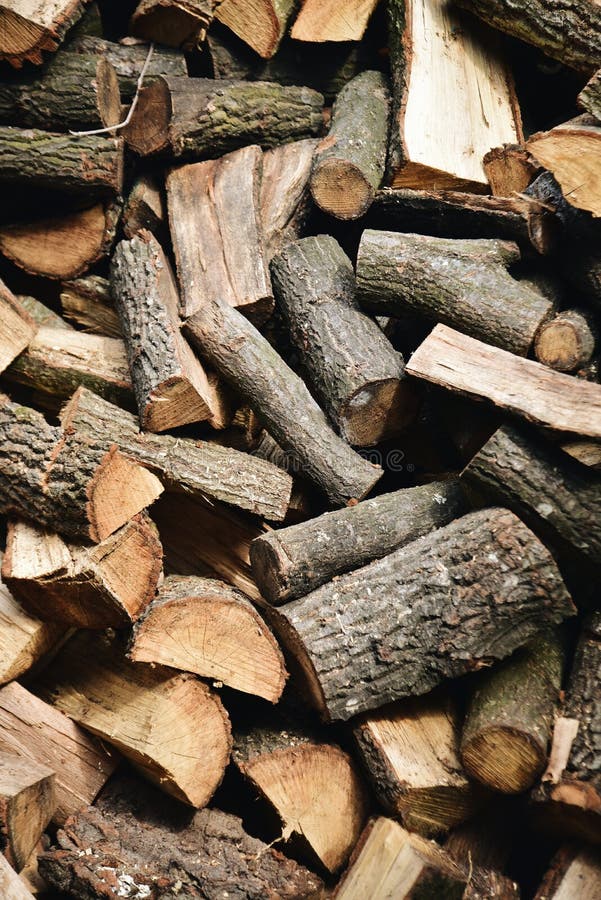 Stacked Oak Firewood Perspective Stock Image - Image of energy, country ...