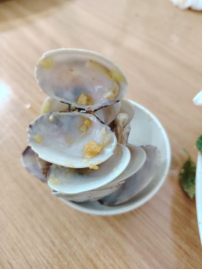 Stacked shells stock image. Image of flower, meat, lunch - 362332361