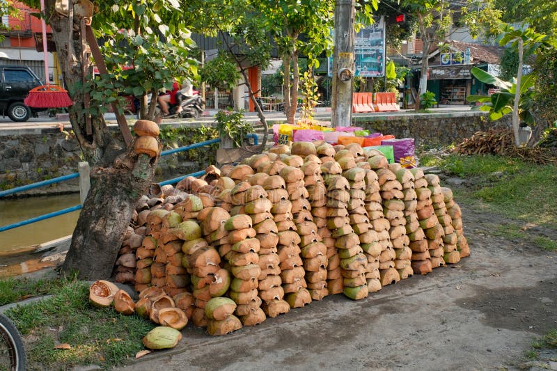 Stacked dry coconuts stock image. Image of ripe, ingredient - 346242113