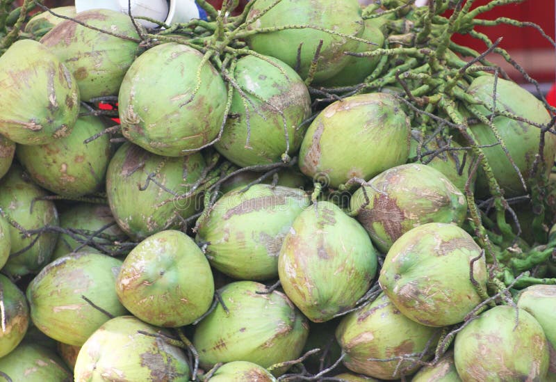 Stacked Coconuts on the Ground Stock Photo - Image of peel, agriculture ...