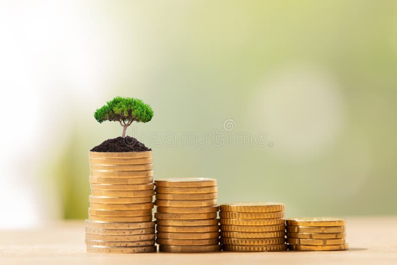 Stacked Coins with Tree Growing Stock Image - Image of income, increase ...