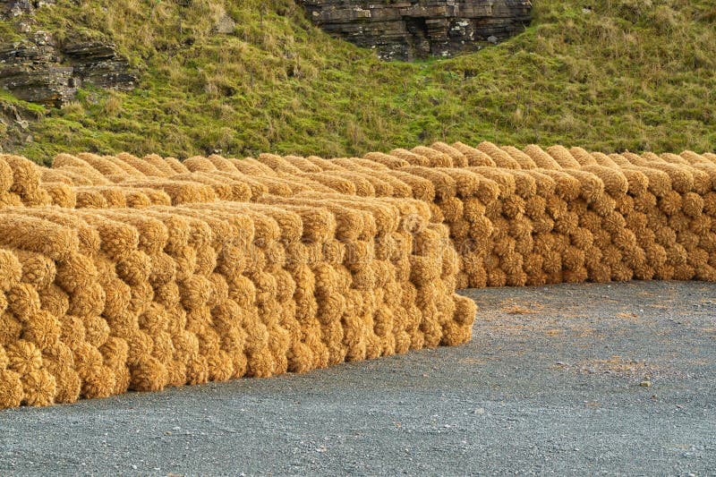 Stacked Coir Rolls, Waiting To Be Used. Erosion Control. Stock Image ...