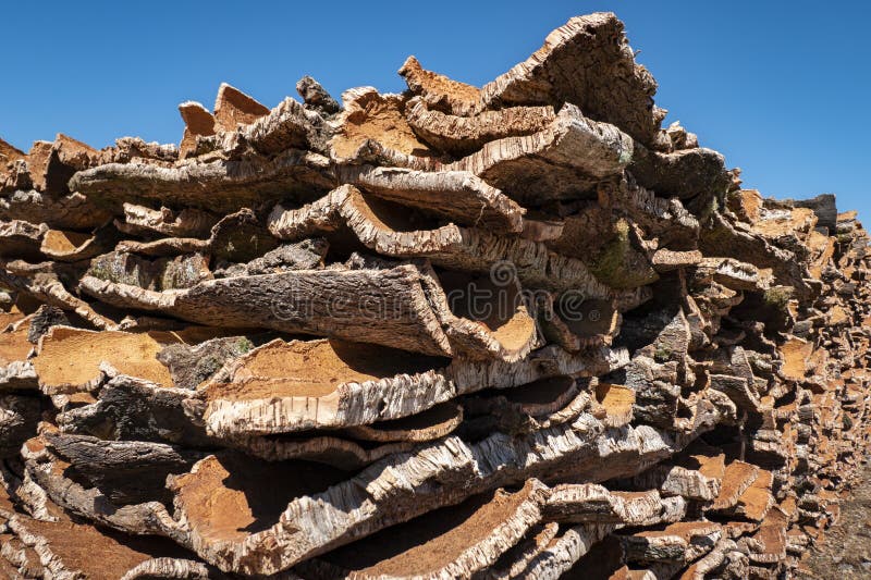 Stacked cork stock photo. Image of ruins, trunk, wood - 278936196