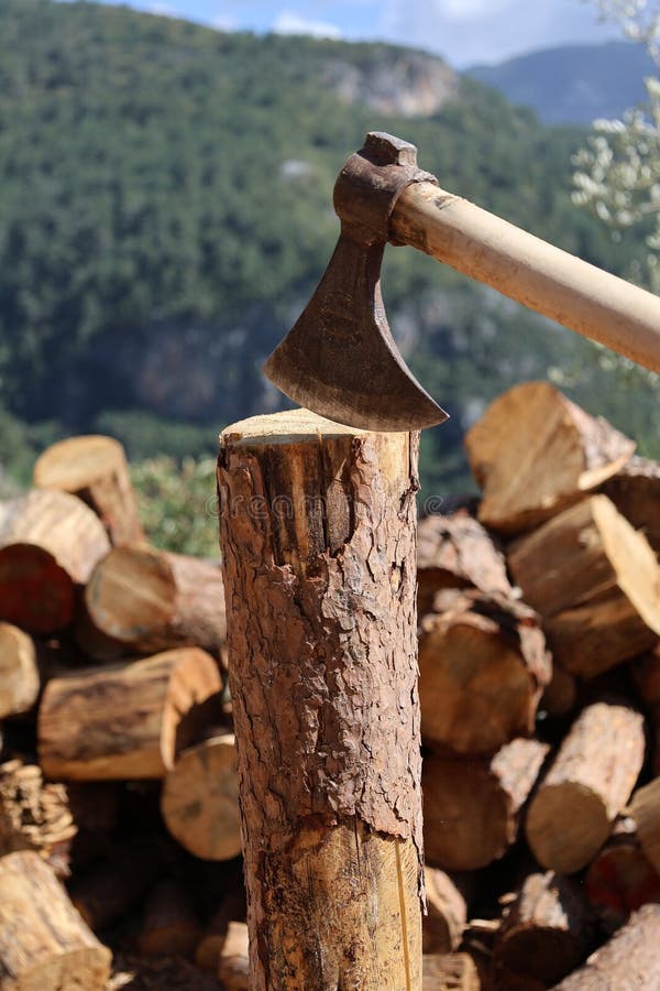 Stacked cut logs stock photo. Image of adult, manual - 374968632