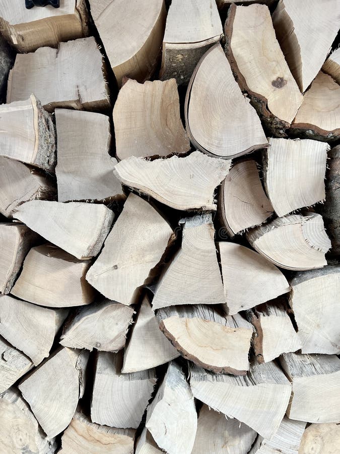 Cut Logs stock image. Image of pattern, cuts, stacked - 290637469
