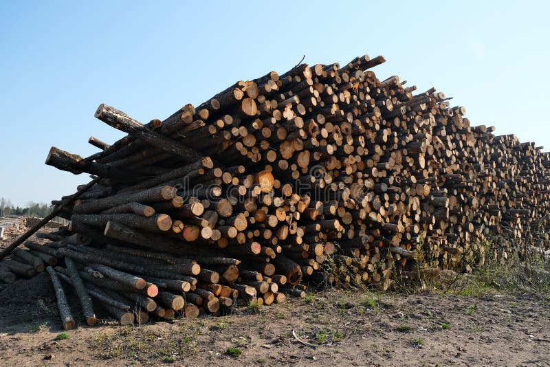 9,055 Cut Raw Timber Wood Logs Photos - Free & Royalty-Free Stock ...