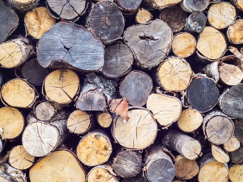 Stacked Cut Unprocessed Wood Lumber of Various Types Shapes Sizes and ...