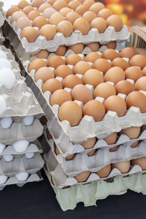 Stacked egg boxes stock photo. Image of object, diet - 228890592