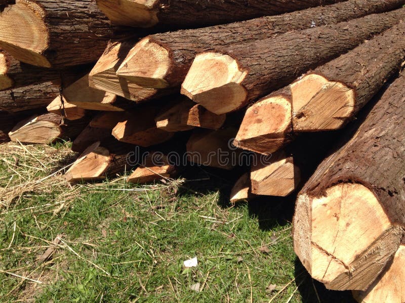 Stacked fence posts stock image. Image of trees, posts - 57047819