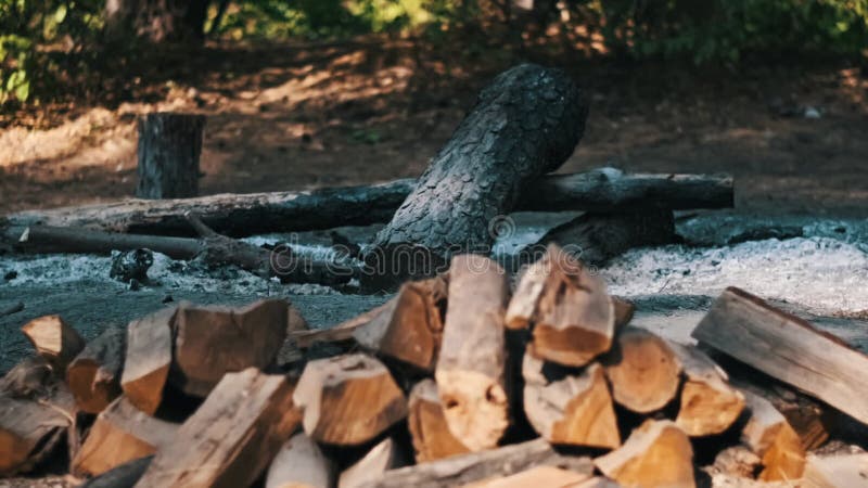 Stacked Firewood for Campfire Stock Footage - Video of preparation ...