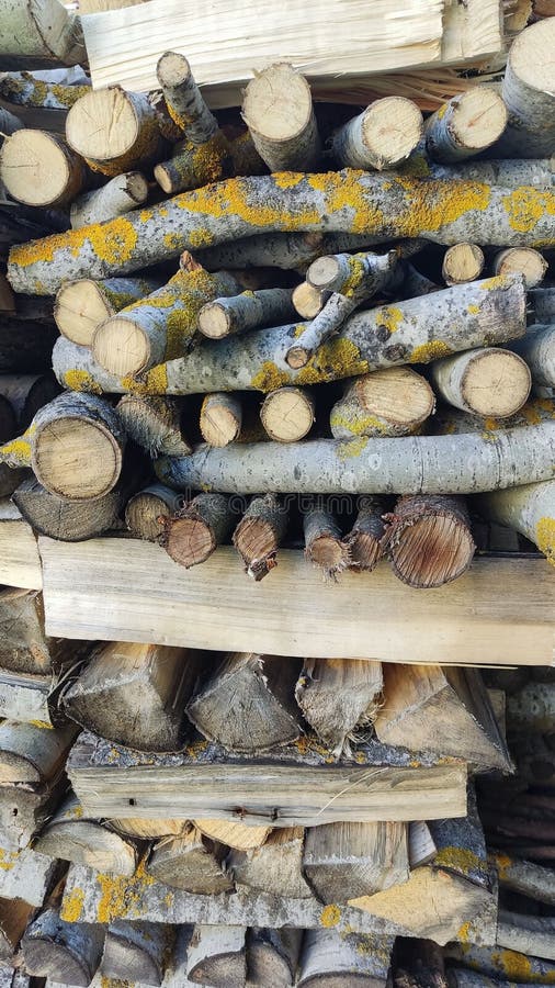 Split Red Oak Logs in a Firewood Pile Stock Photo - Image of winter ...