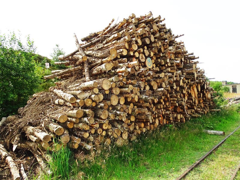 Stacked firewood logs stock image. Image of heating, fuel - 61978521