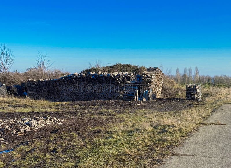 Stacked Firewood Piles in a Rural Setting Stock Photo - Image of rural ...