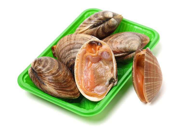 Stacked fresh raw clams stock photo. Image of asian - 142191014