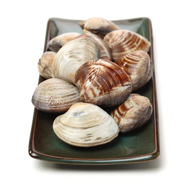Stacked fresh raw clams stock image. Image of gourmet - 143783761