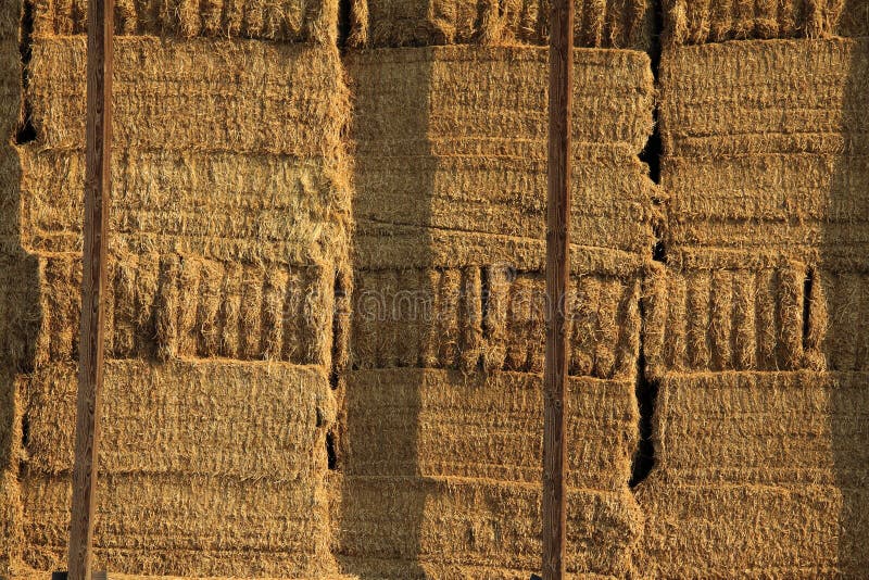 Stacked Hay Bale Background Stock Photo - Image of agriculture ...