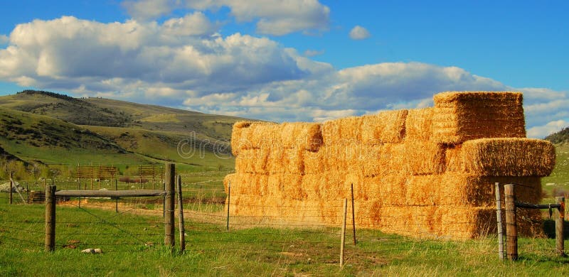 Farm: Old Red Barn with Hay Bales Stock Photo - Image of fall, bale ...
