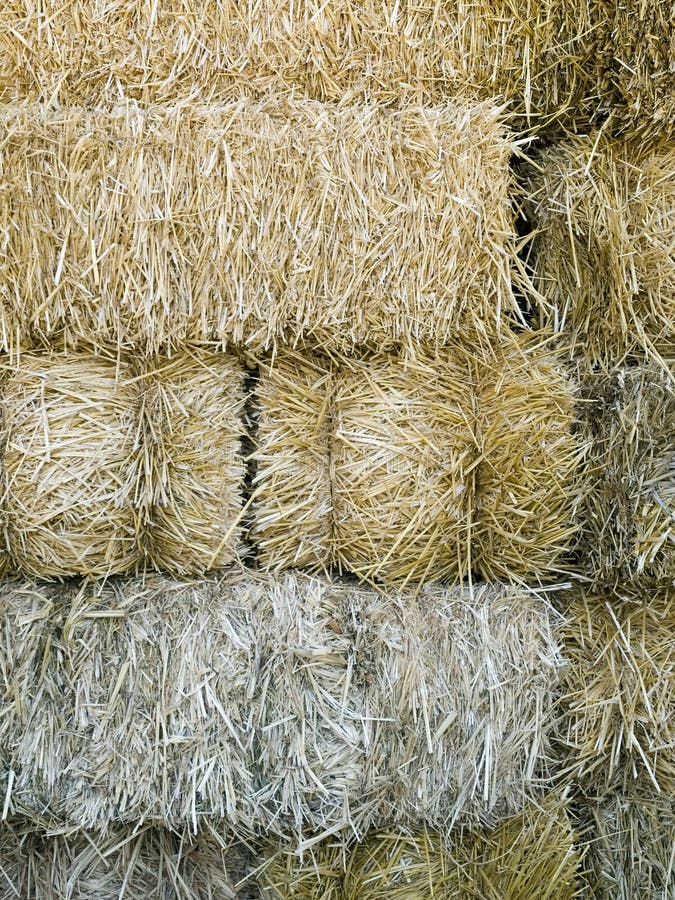 Stacked Hay Bales stock photo. Image of straw, bale, stacked - 1626192