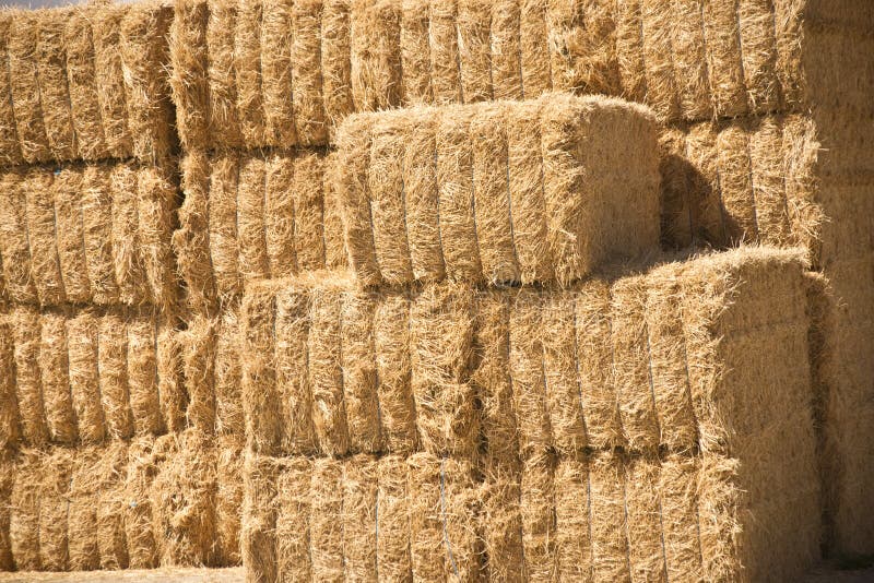 Stacked Hay Bales stock image. Image of produce, stack - 26771935