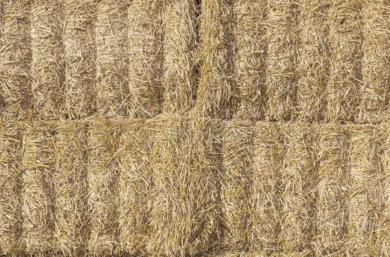 Stacked Hay Bales for Background Stock Image - Image of nature, brown ...