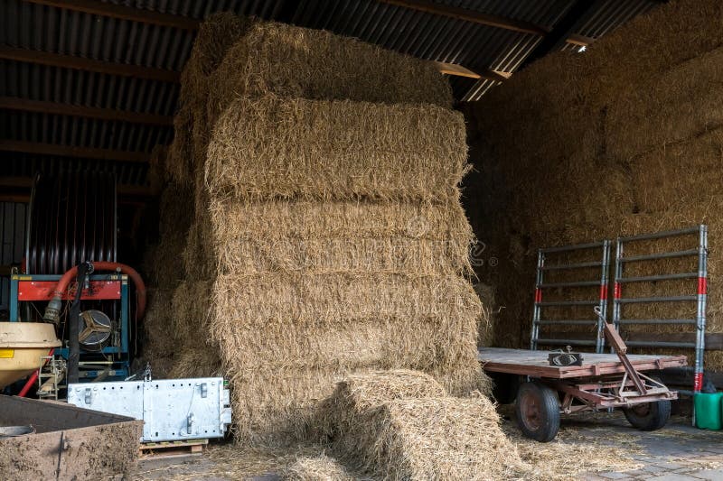 Stacked Hay Bales in a Farm Shed Stock Photo - Image of stacked ...