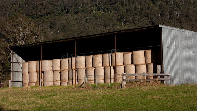 Large Round Bales in Storage Shed Stock Photo - Image of large, outdoor ...