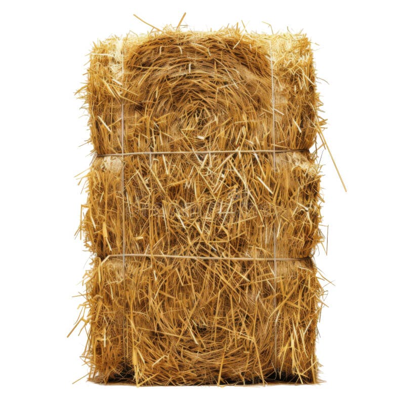 Stacked Hay Bales with String and Black Background Stock Image ...