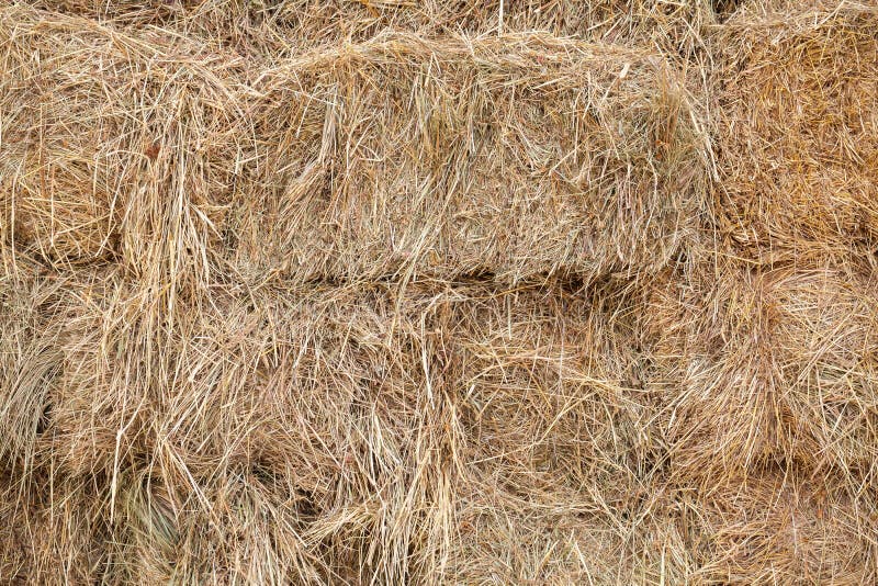 612 Agriculture Farm Blocks Stock Photos - Free & Royalty-Free Stock ...