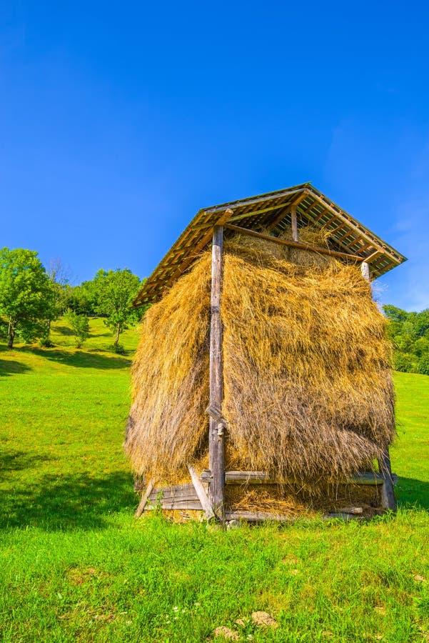 Stacked Hay on Summer Pasture Stock Image - Image of idyll, outdoor ...