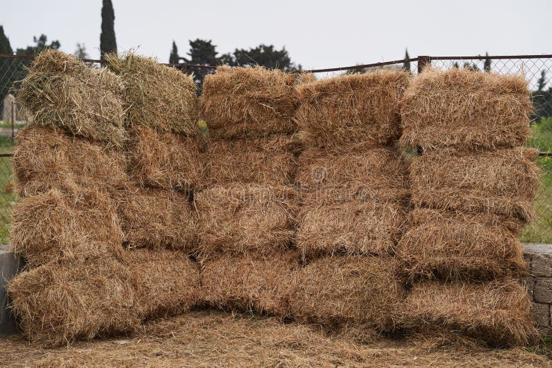 Stacked Haystack Background. Agriculture Harvest Stock Photo - Image of ...